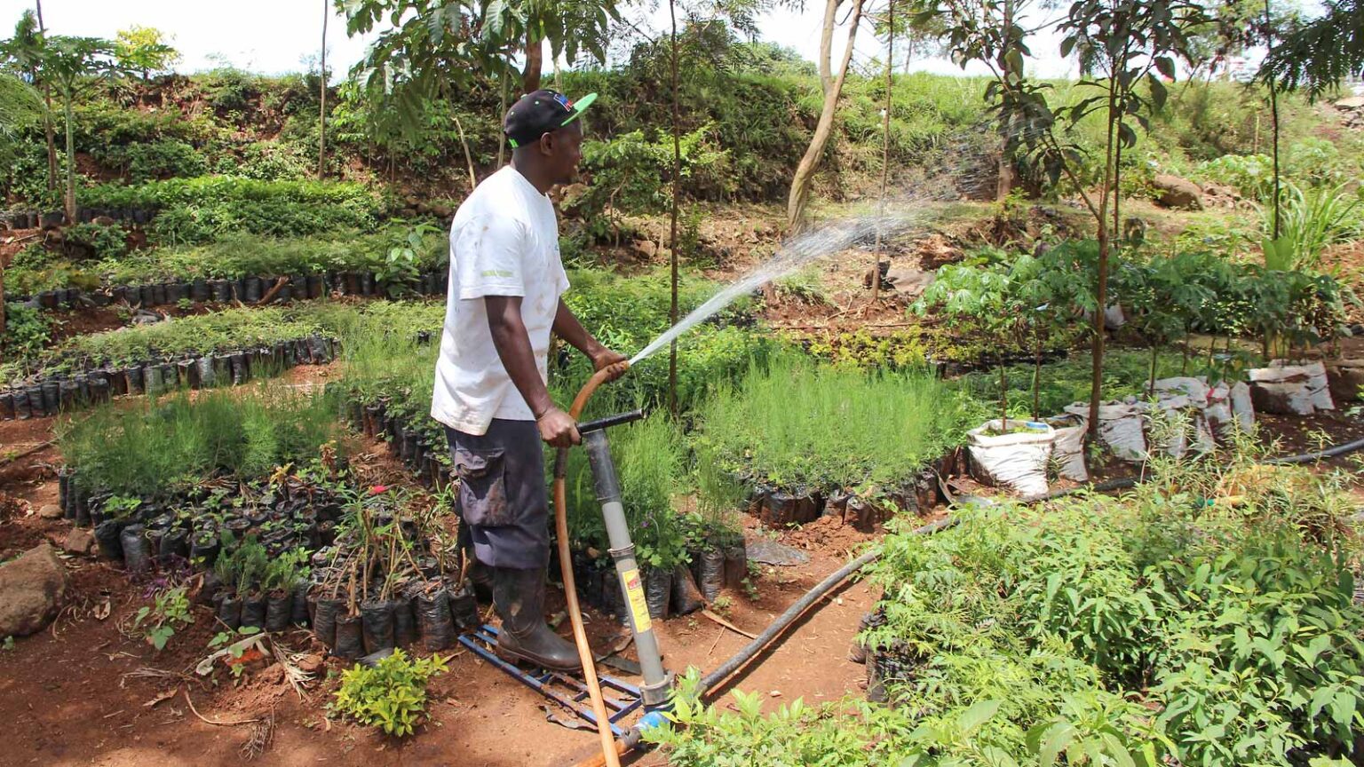 MoneyMaker Hip Pump - KickStart International