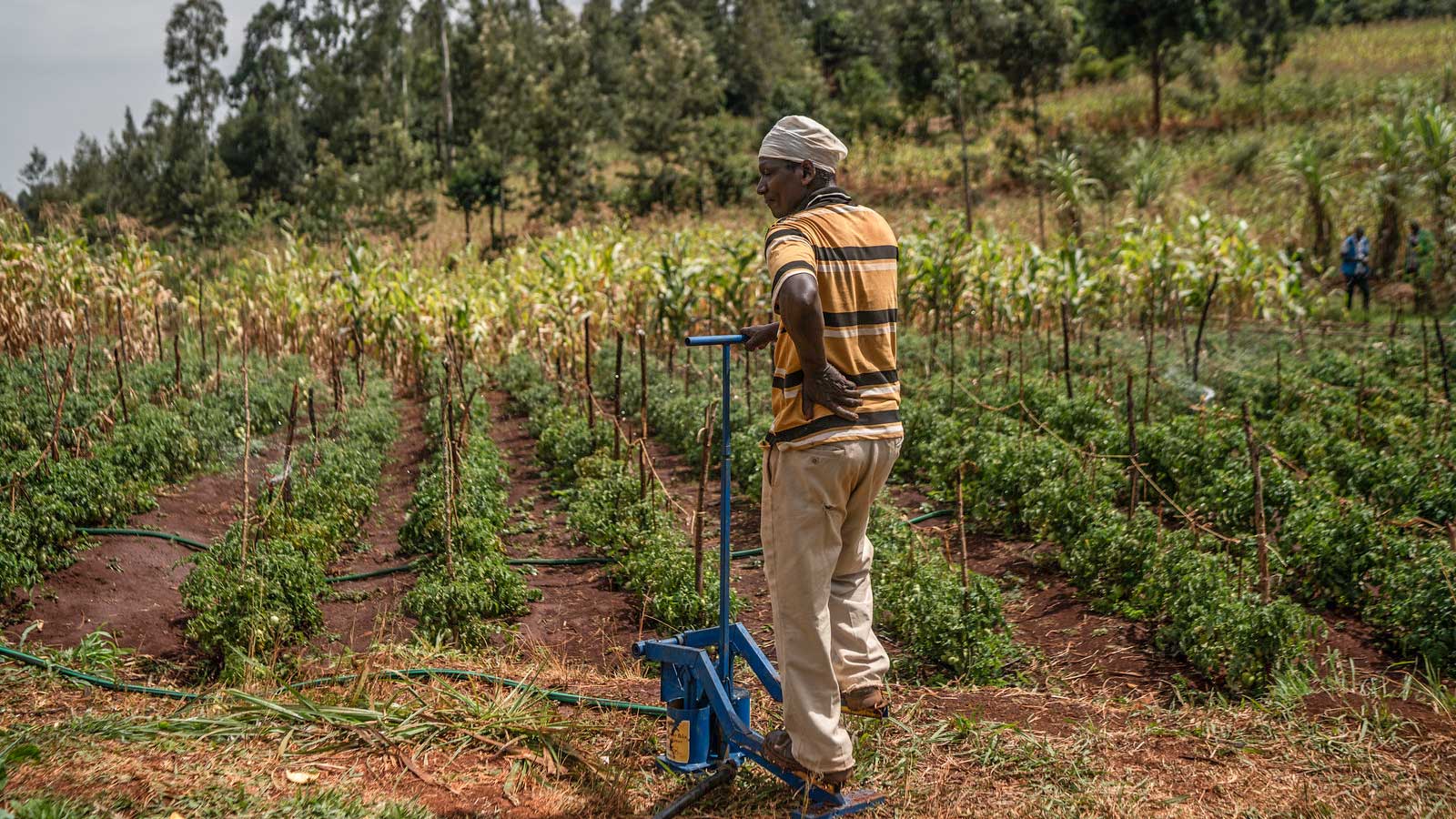 MoneyMaker Max Pump - KickStart International