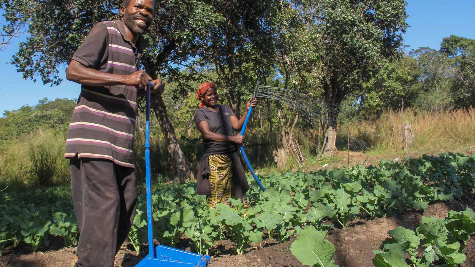 MoneyMaker Max Pump - KickStart International