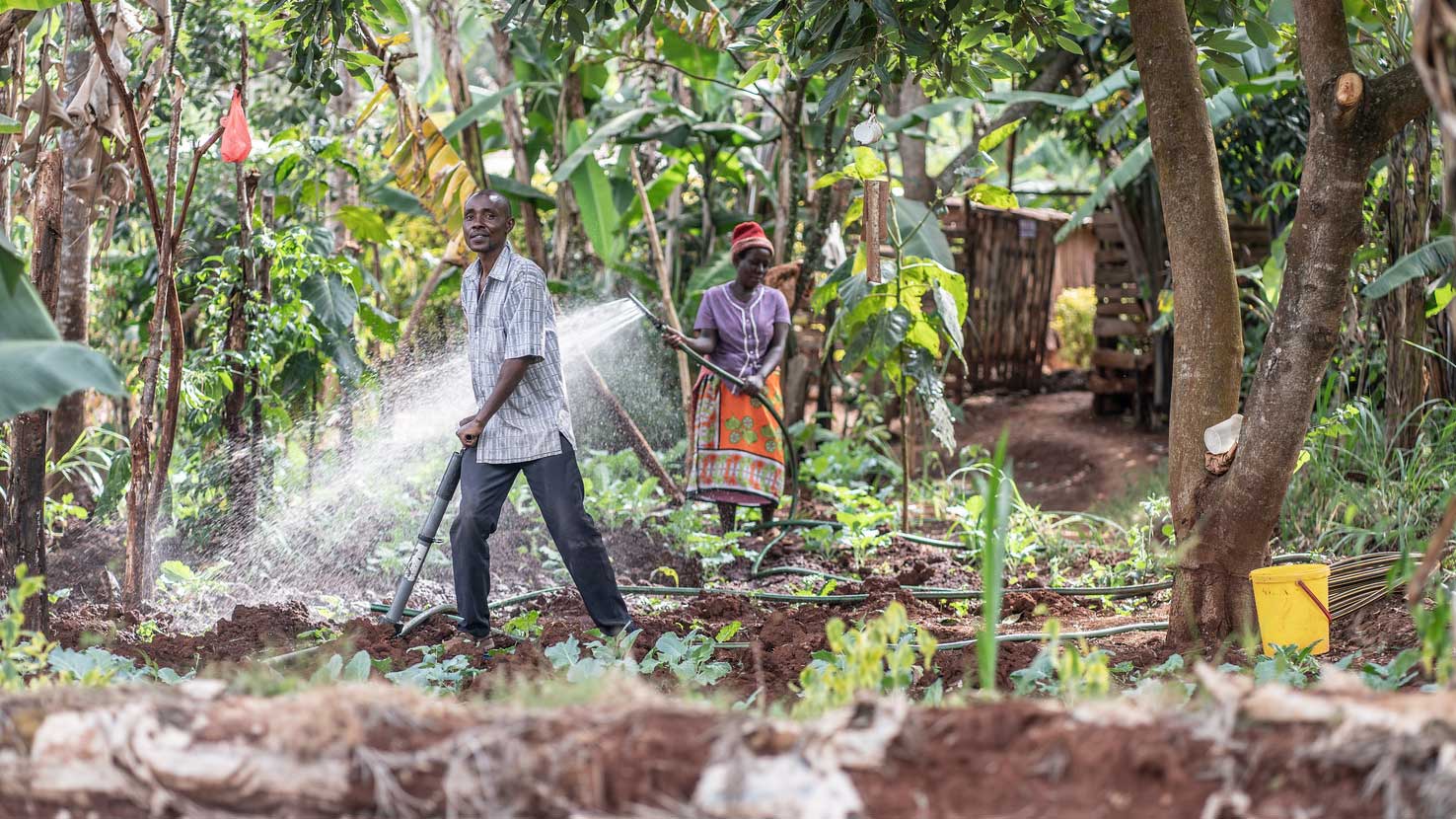 MoneyMaker Starter Pump - KickStart International