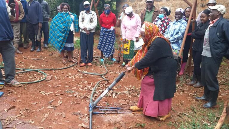 MoneyMaker Starter Pump - KickStart International