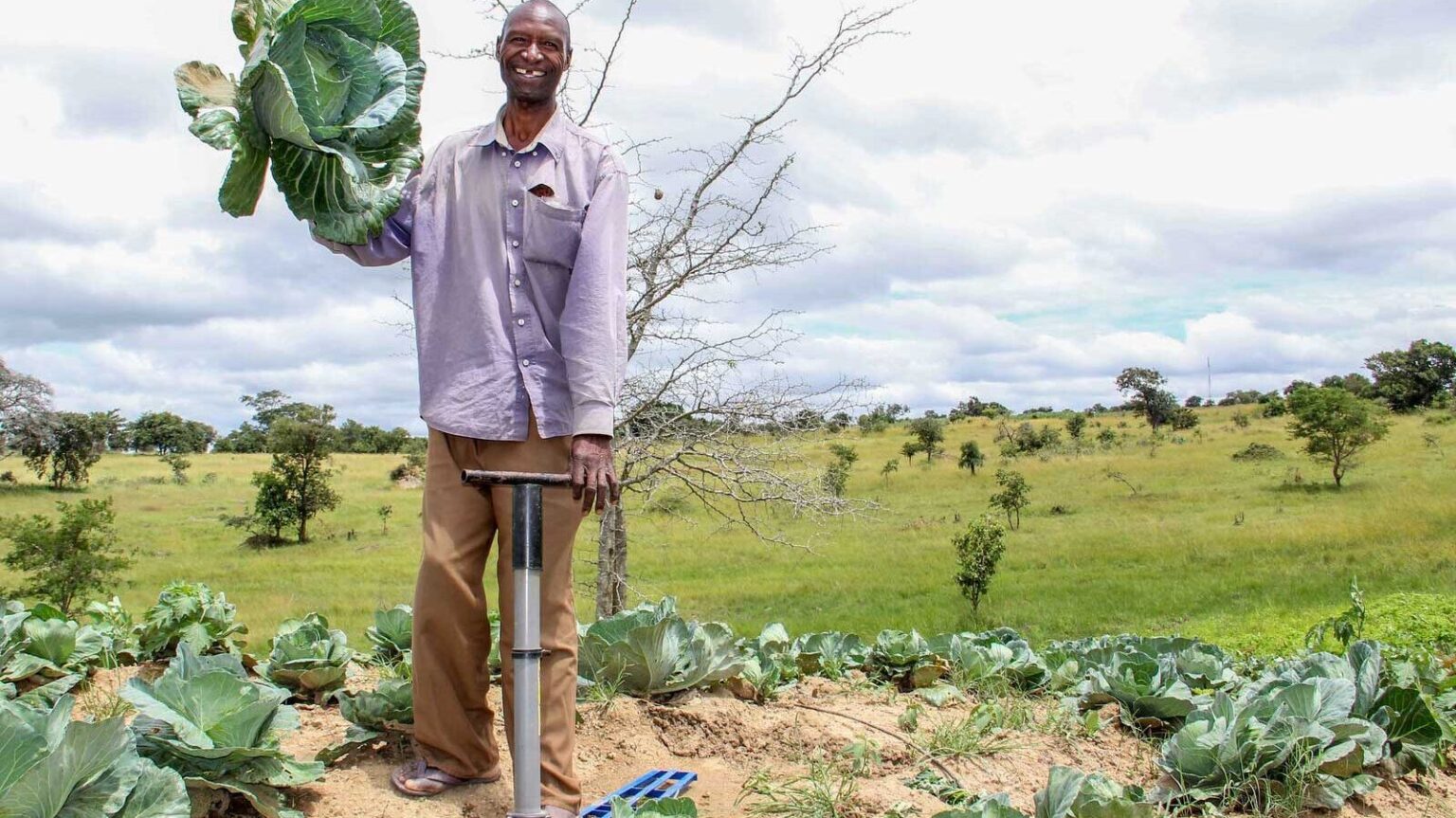 MoneyMaker Hip Pump - KickStart International