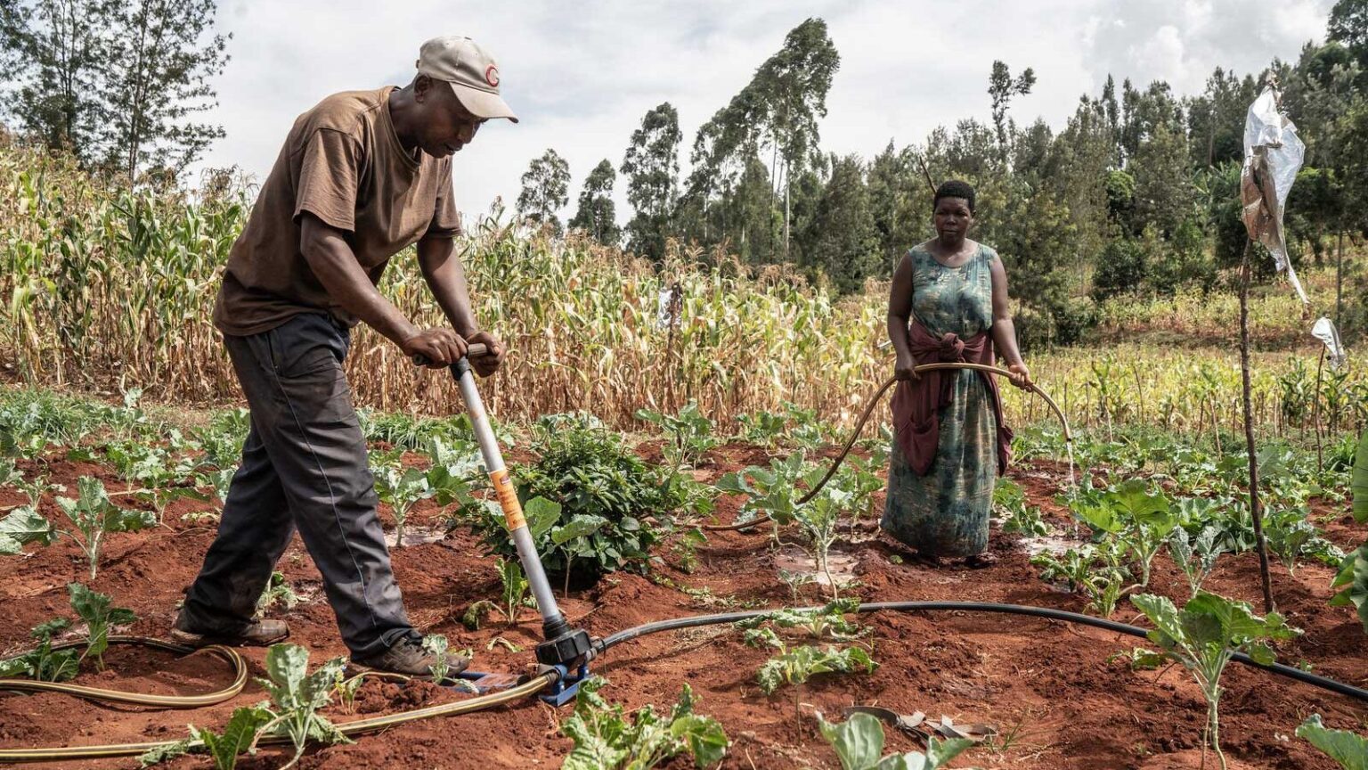 MoneyMaker Starter Pump - KickStart International