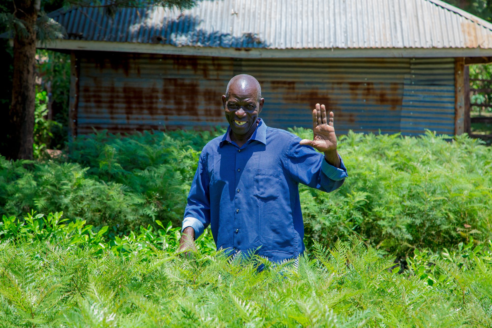 Farming sparked Joshua’s 2nd act: guiding new growers
